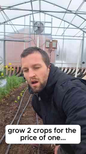 Grow Two Crops for the Price of One