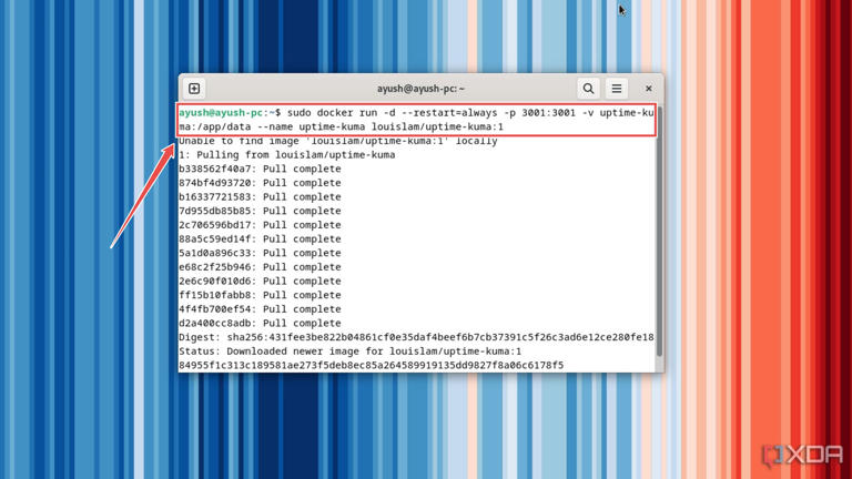 How I use Uptime Kuma to monitor my self-hosted services (and get ...