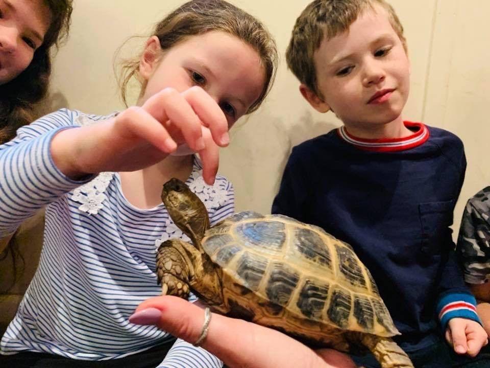 Junction 32's amazing wildlife experience returns this May half term