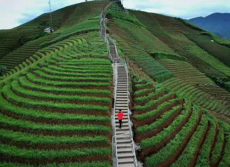 Lagi Viral ! 3 Destinasi Wisata Majalengka, Viral dan Hits Untuk Liburan Seru