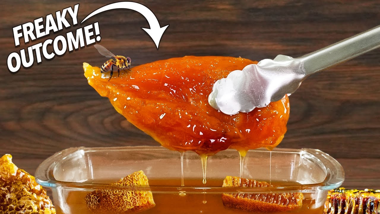 Honey Chicken Experiment – Sweet or Disaster?