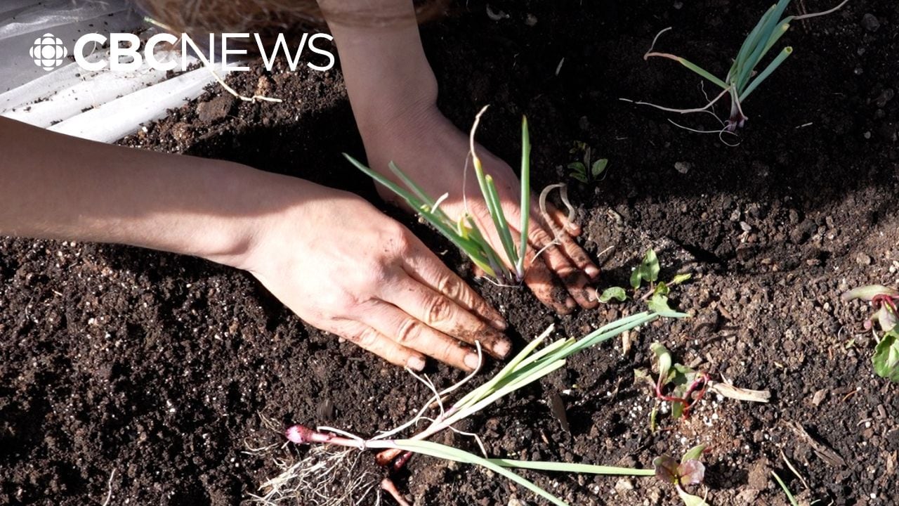 Should you wait until Victoria Day before you plant?