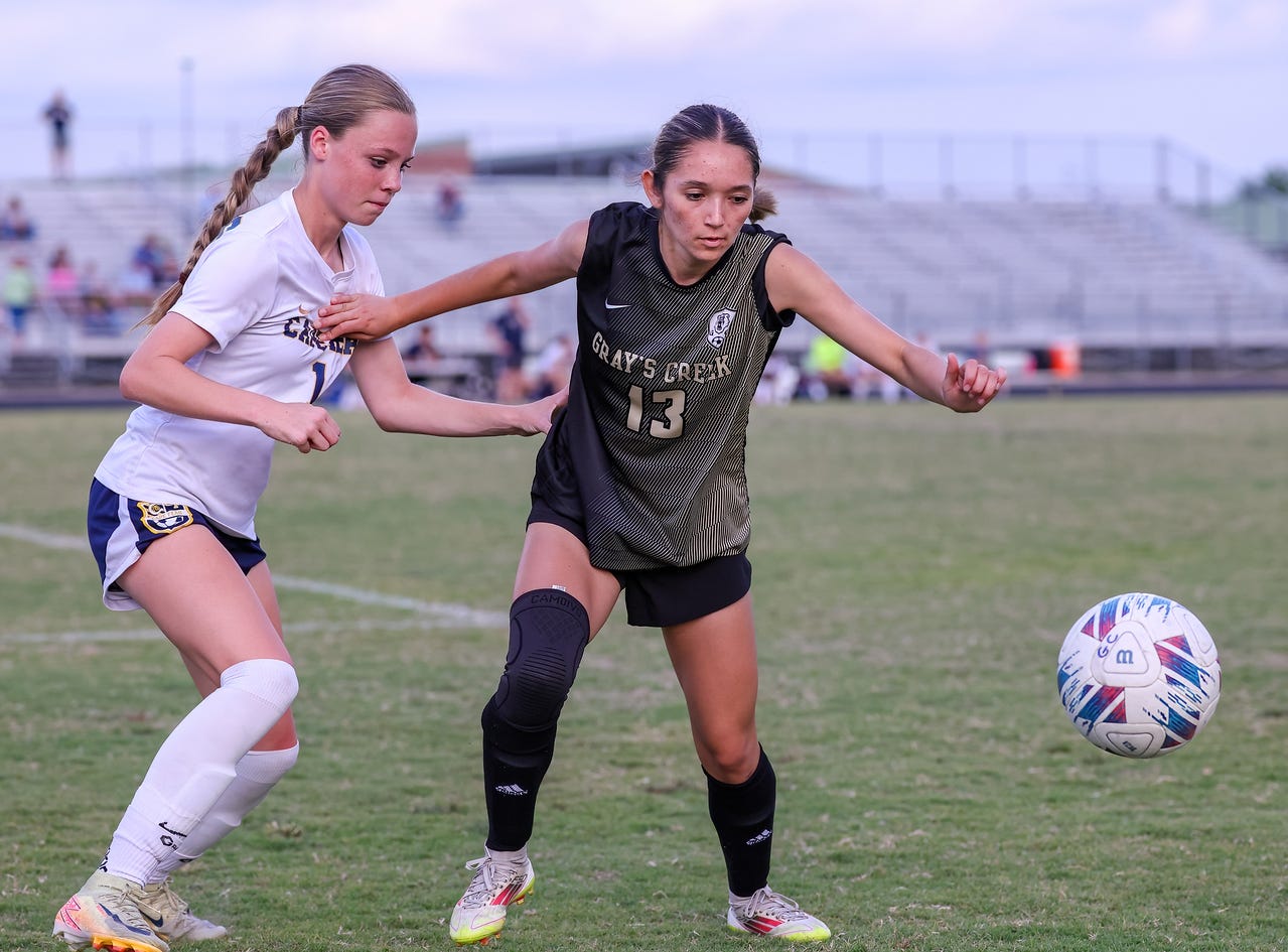 NCHSAA spring sports playoff schedule, scores: Bulldogs bow out in ...