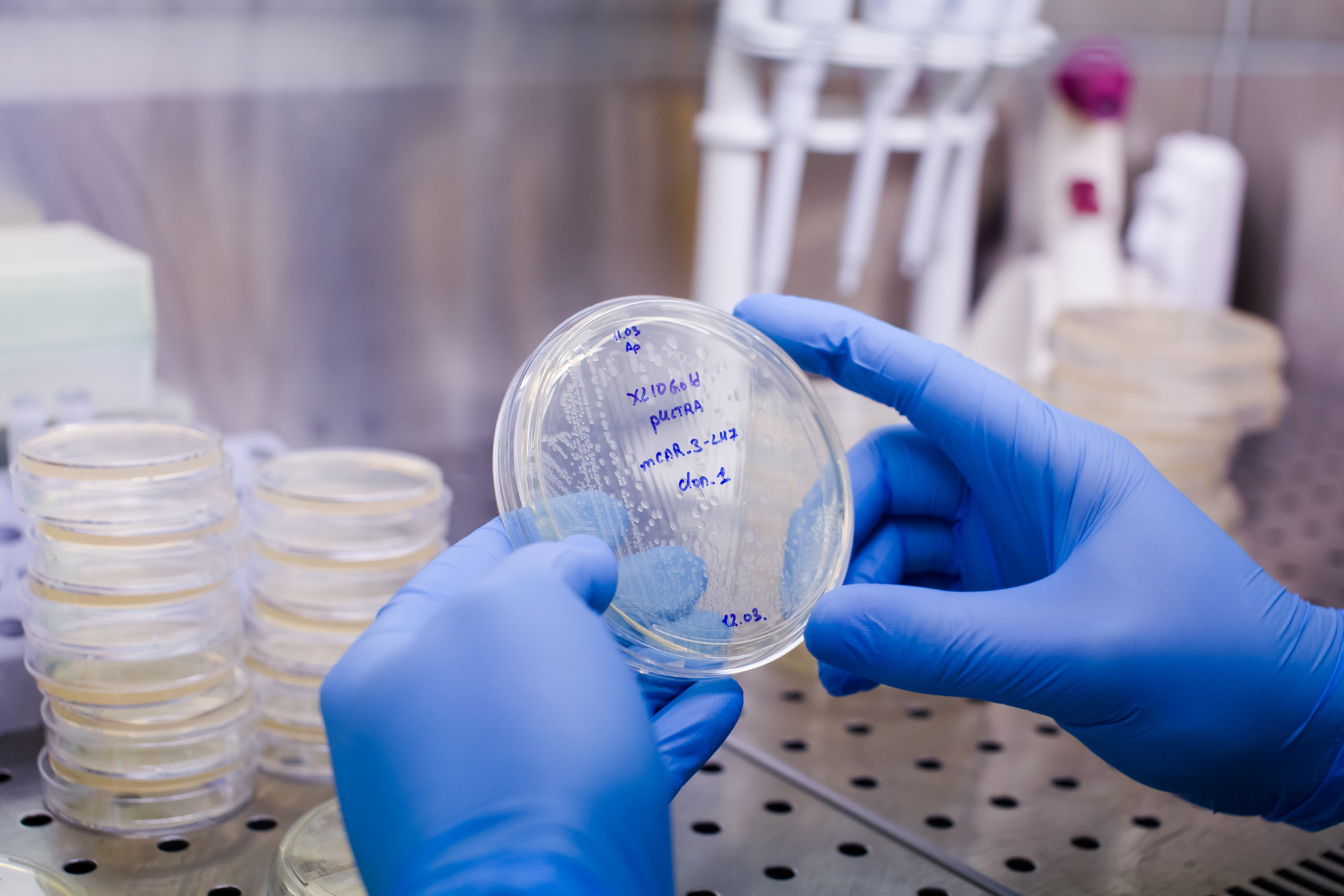 Hva er CAR T-celleterapi mot kreft, og hvordan fungerer det?