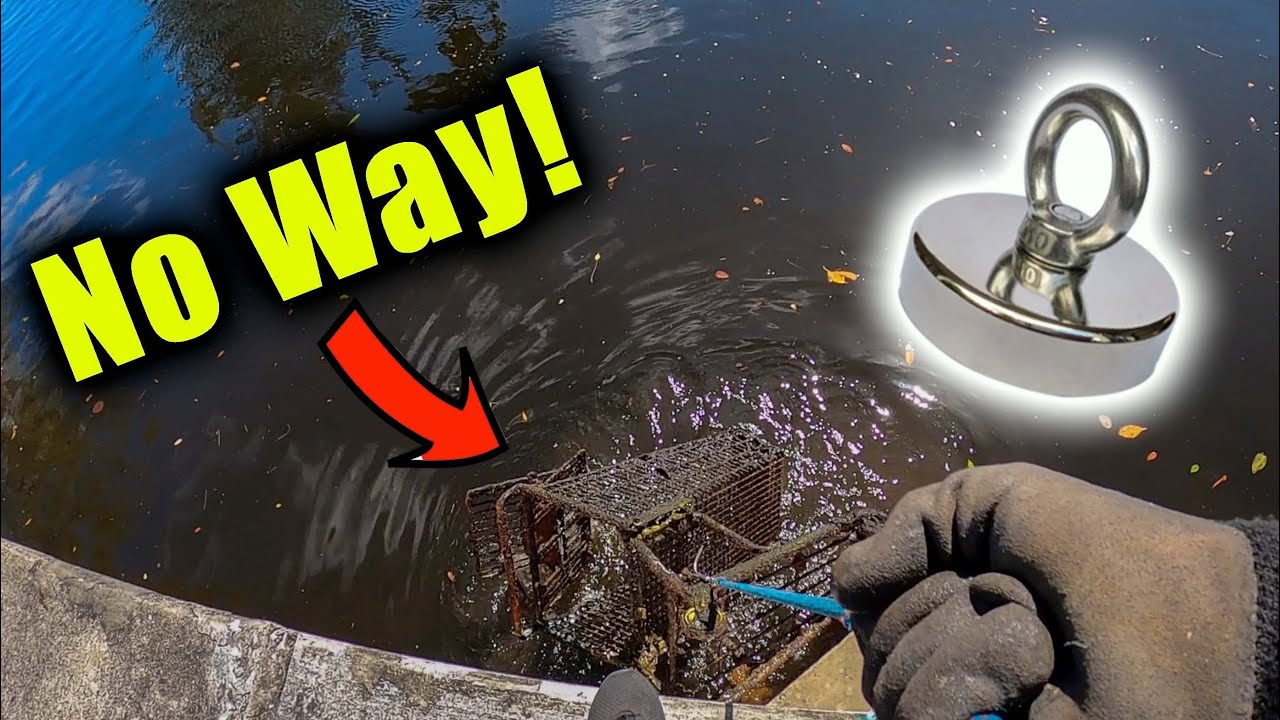 Pure Chaos Unleashed; This Magnet Fishing Trip Got Out of Hand!