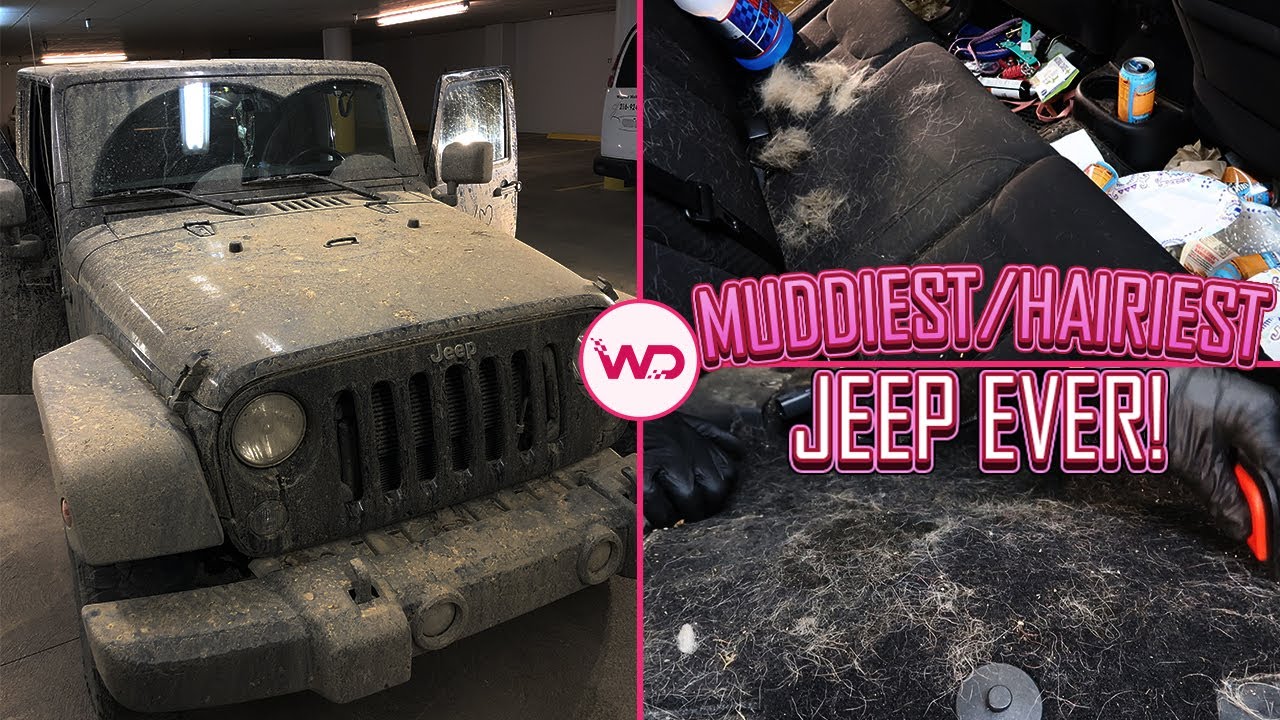 Cleaning a girl’s messy Jeep and removing all hair and grime