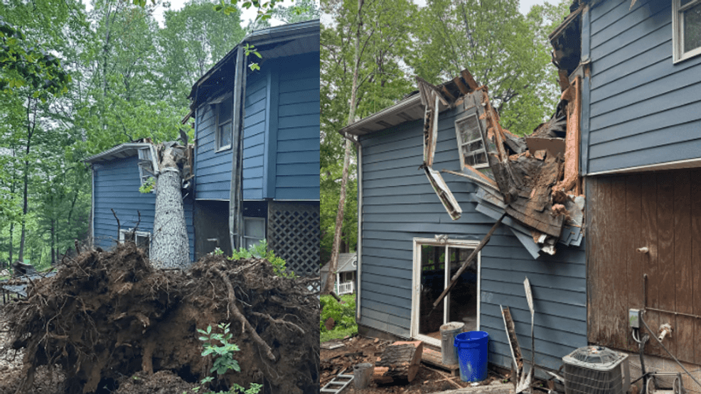 Family working to rebuild after 'massive' oak tree crushes home in ...