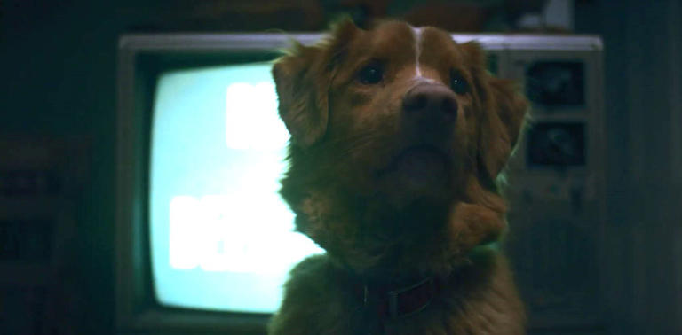 'Chilling' horror film with 100% Rotten Tomatoes rating heading to ...