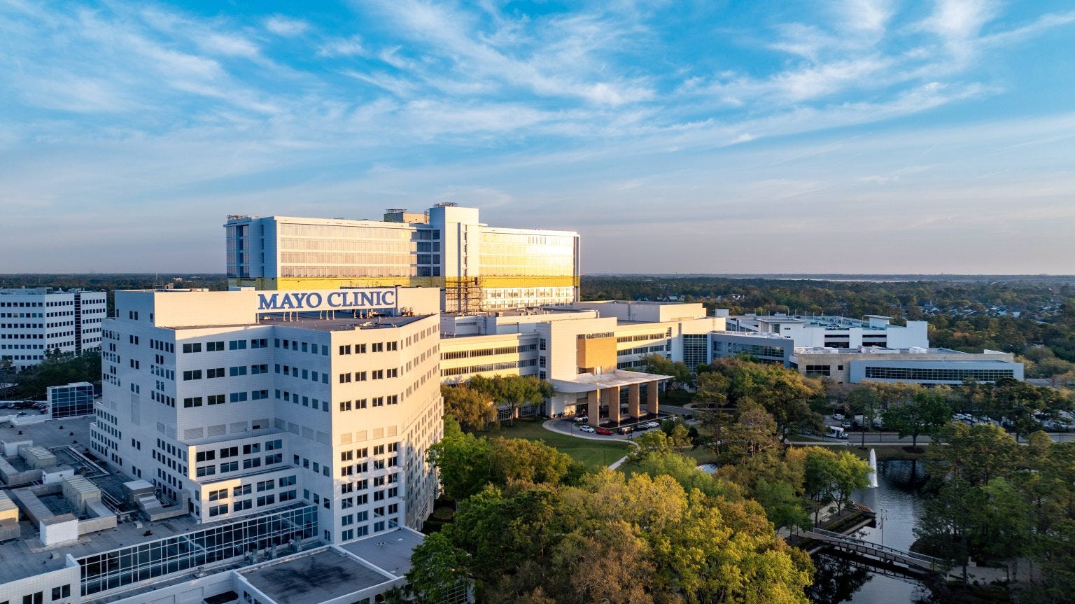 Can Alzheimer’s be diagnosed through blood testing? Mayo Clinic says it ...