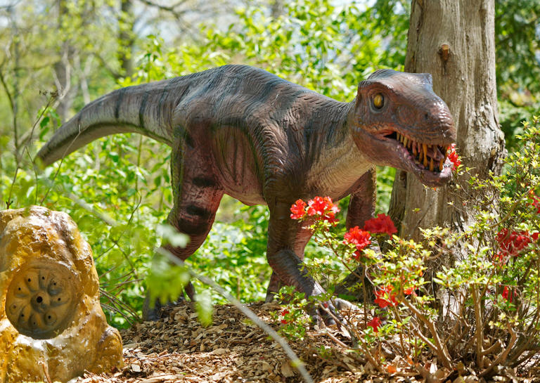 DinoTrek, with its collection of 20 life-size dinosaurs, opens May 10 ...