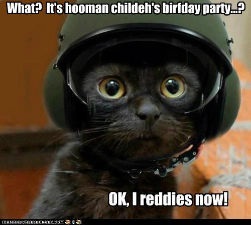75 Funniest Birthday Cat Memes on the Internet