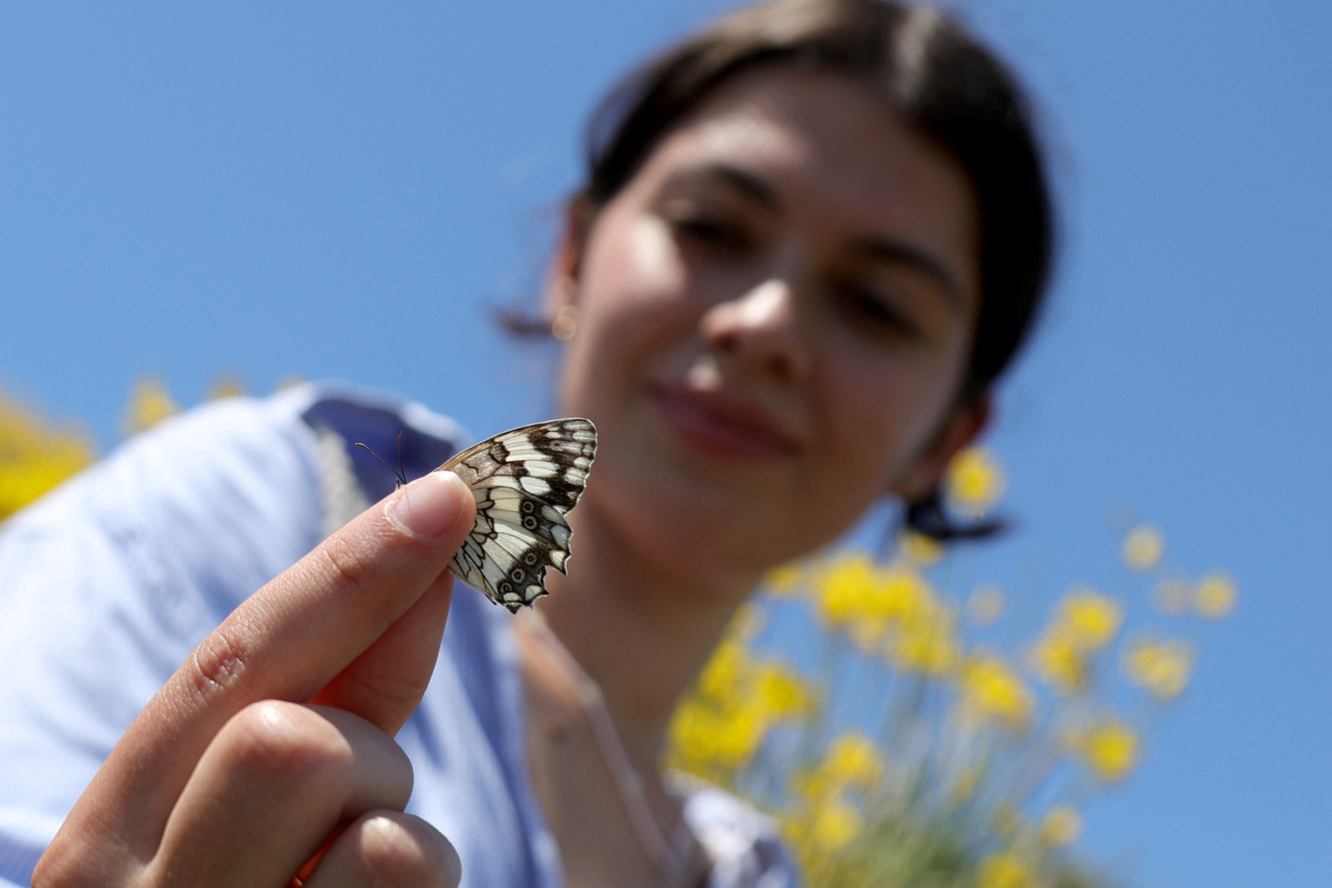 Symbiosis: the key to nature's harmony