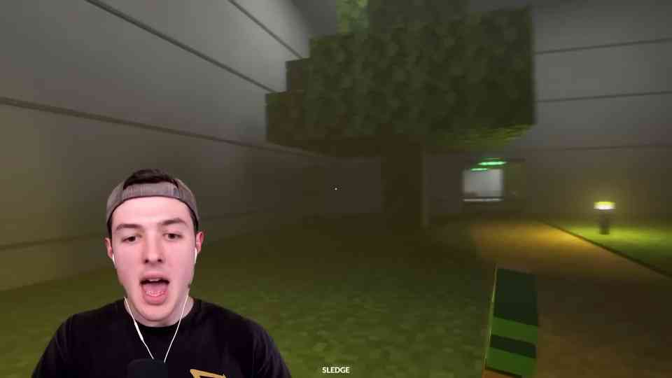 Playing SUPER REALISTIC Minecraft