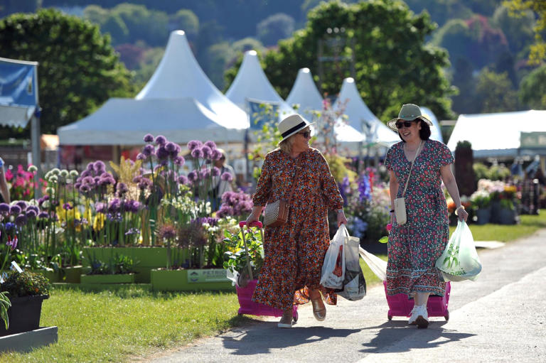 Top seven reasons not to miss out on this year’s RHS Malvern Spring ...