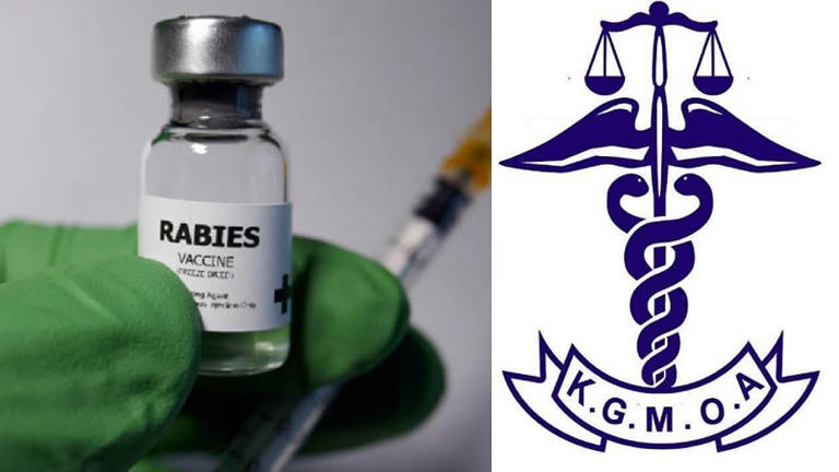 KGMOA urges Kerala govt to launch universal rabies vaccination programme for children
