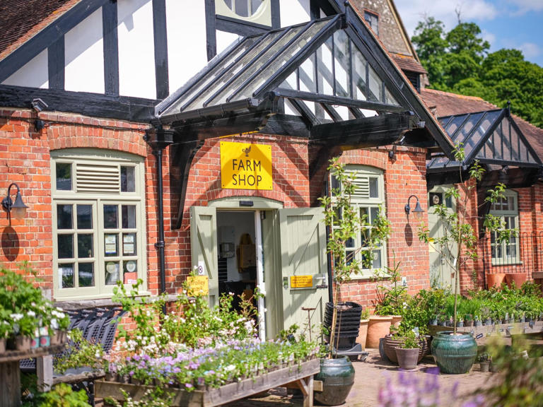 Cowdray Farm Shop has been named Regional Winner in the Muddy Stilettos ...