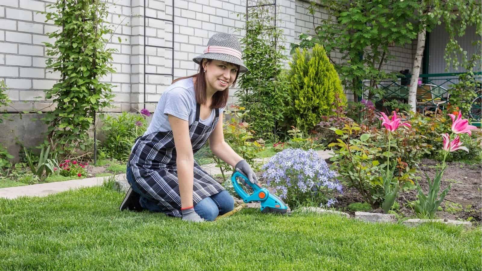 Grow Dinner in a 4x4 Plot—Here’s How