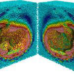 Engineers create mechanical ‘invisibility cloak’ to hide holes in ...