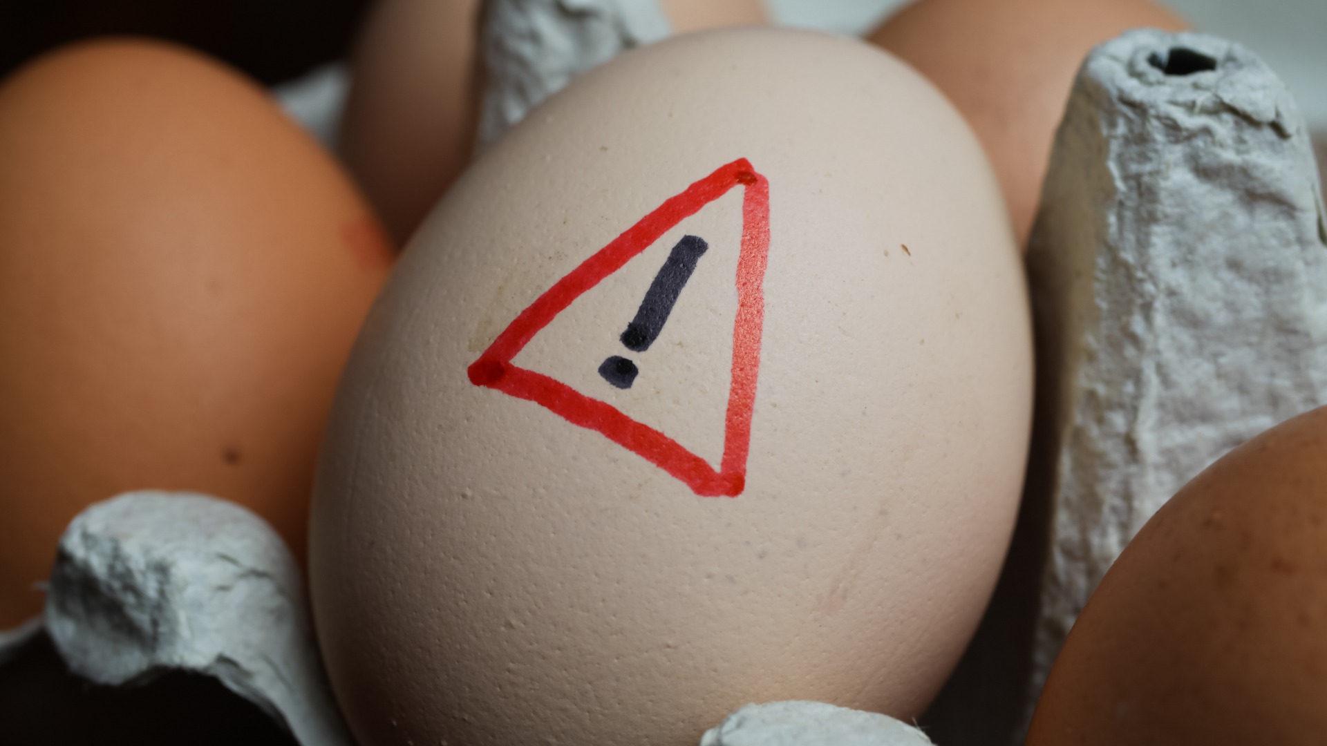 11 Signs Eggs Are Not Safe To Eat