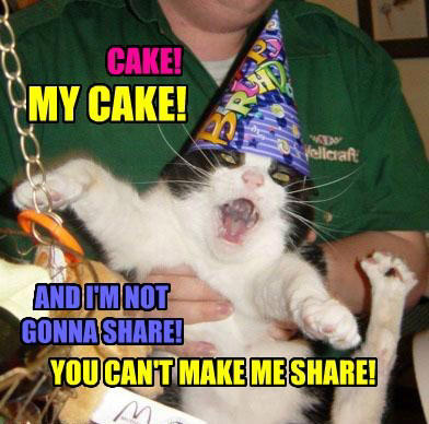 75 Funniest Birthday Cat Memes on the Internet