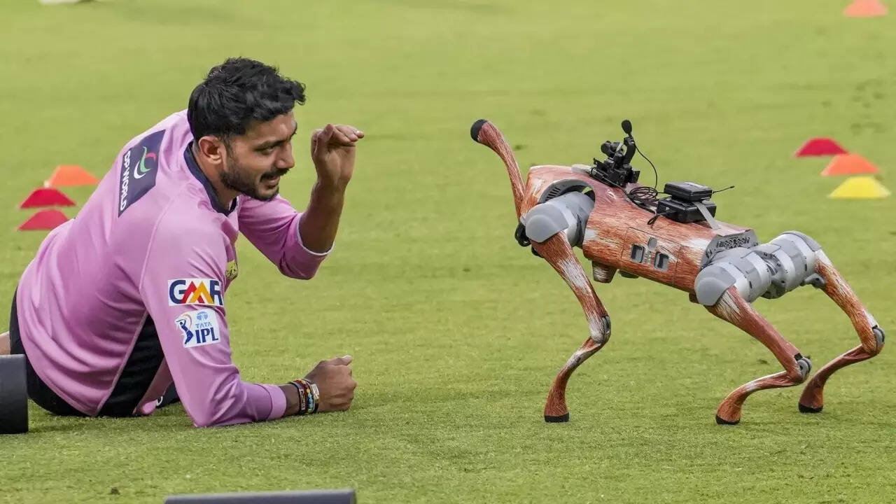 Meet 'Champak': IPL's viral robot dog that's winning hearts and ...