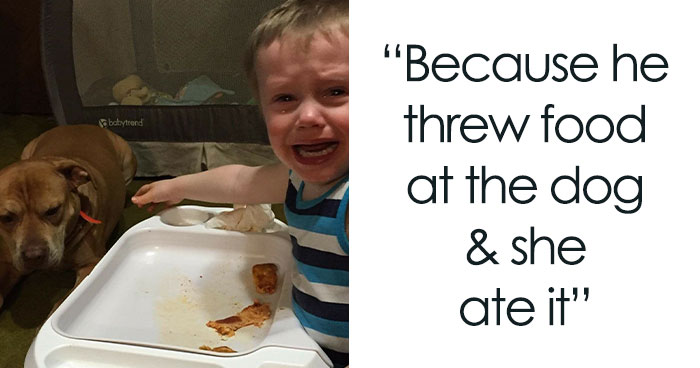 Why My Kid Is Crying 49 Hilariously Stupid Parenting Stories Shared