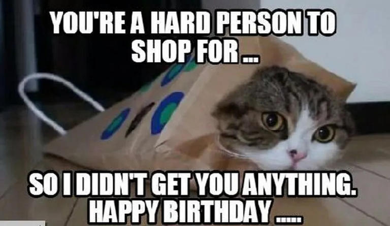 75 Funniest Birthday Cat Memes on the Internet
