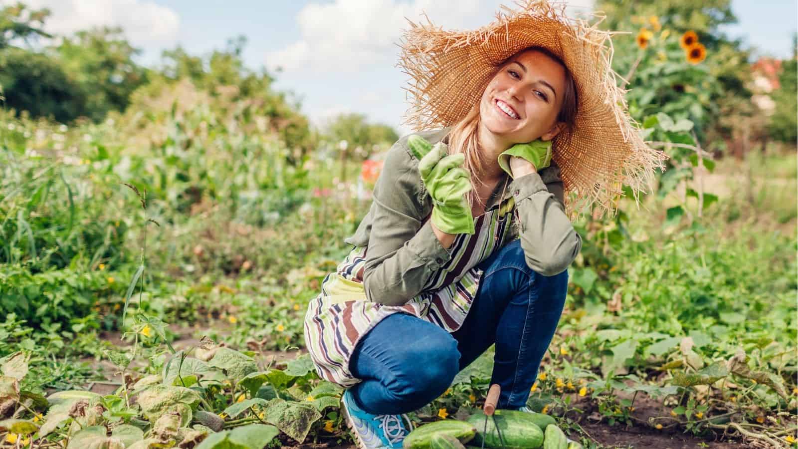 Grow Dinner in a 4x4 Plot—Here’s How