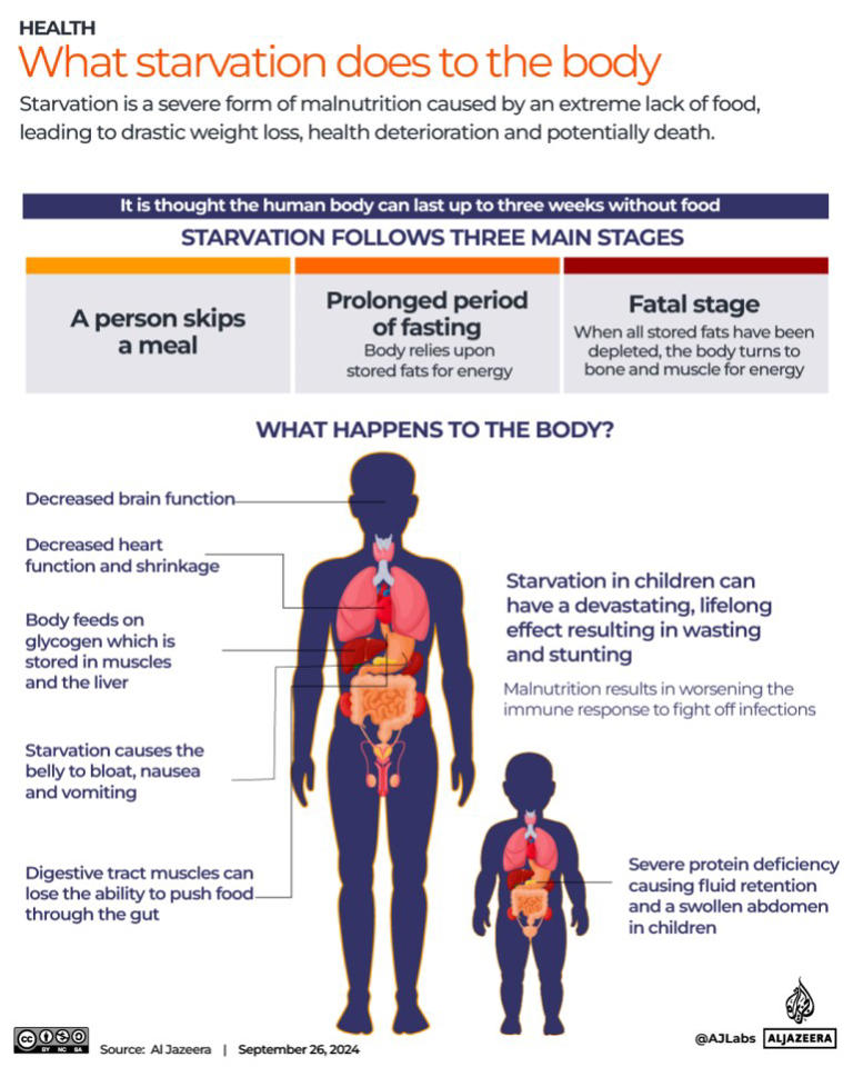 Hunger strike for 70 days: How the body breaks down without food