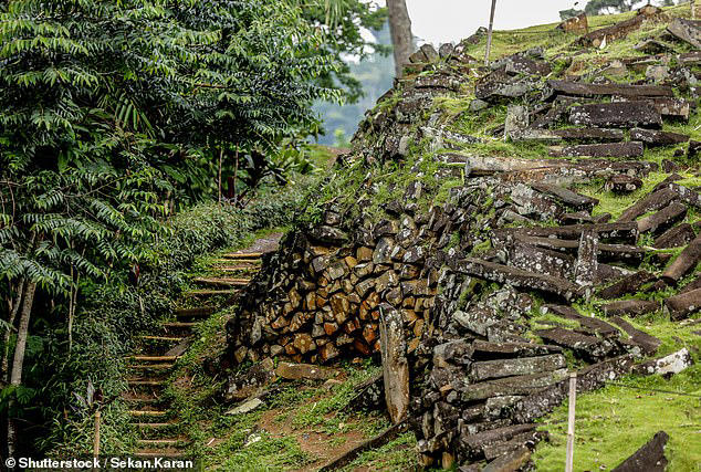 'Sacred' pyramid built by forgotten society in Amazon rainforest may be ...