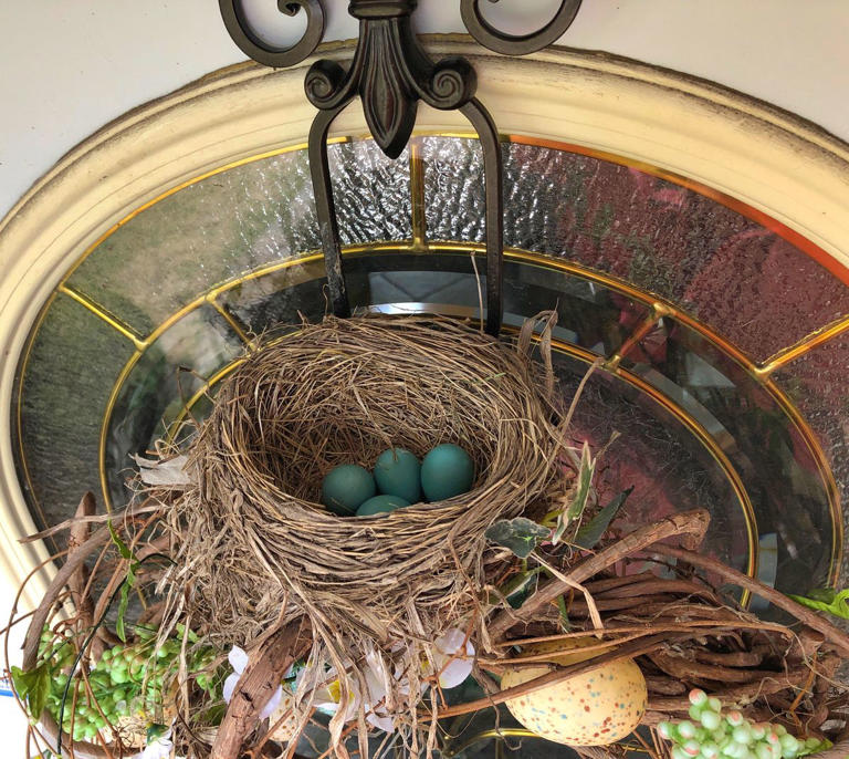 How to Stop Birds From Turning Your Wreath Into a Nesting Spot
