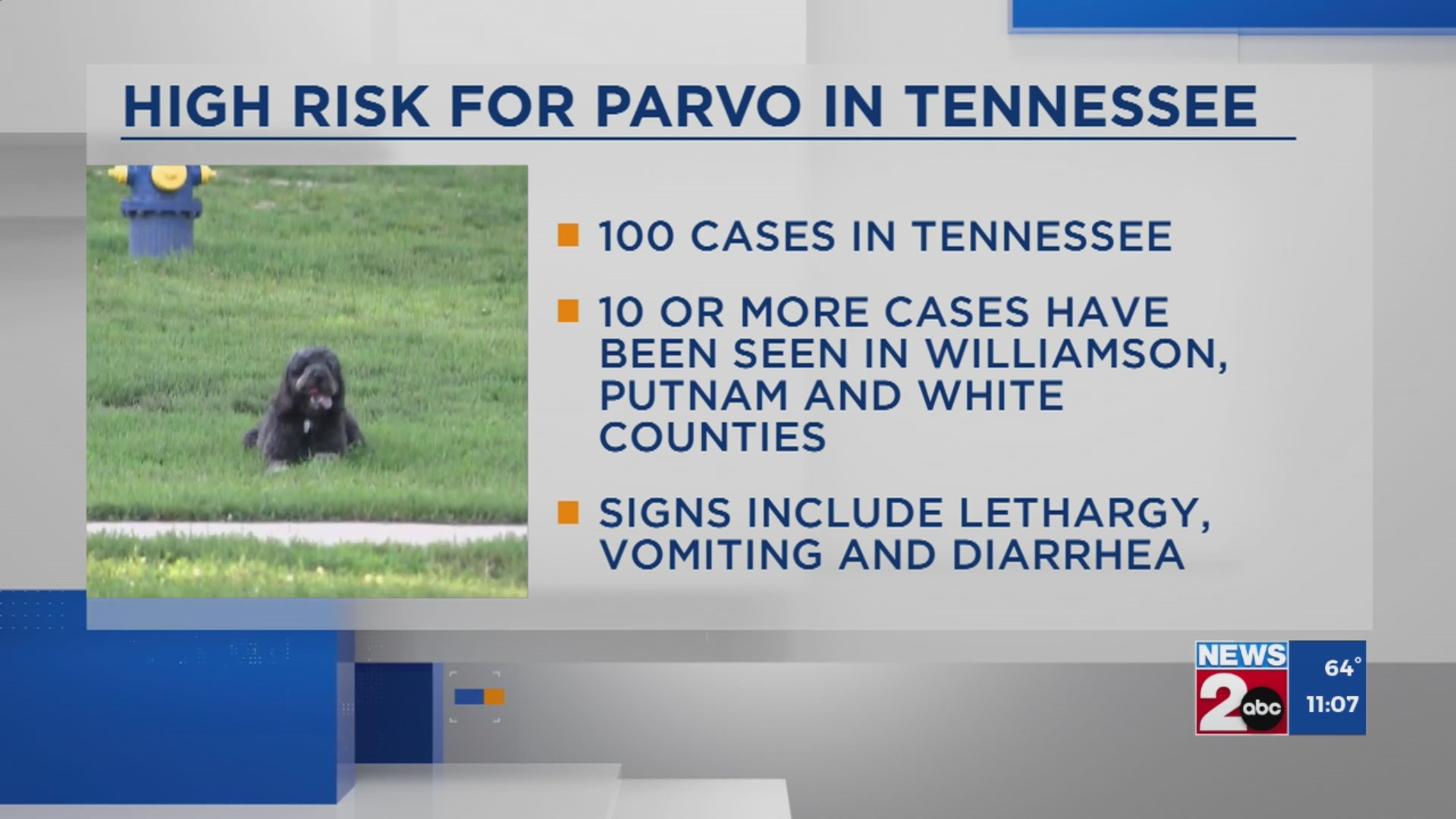 High risk for parvovirus in Tennessee