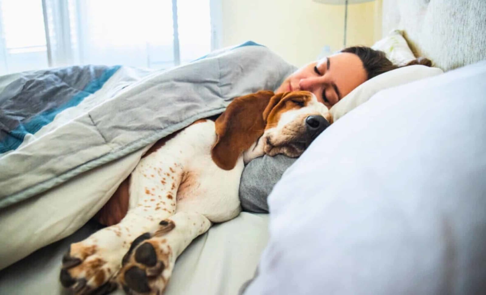 Science Confirms It: To Be The Happiest, You Must Wake Up at This ...