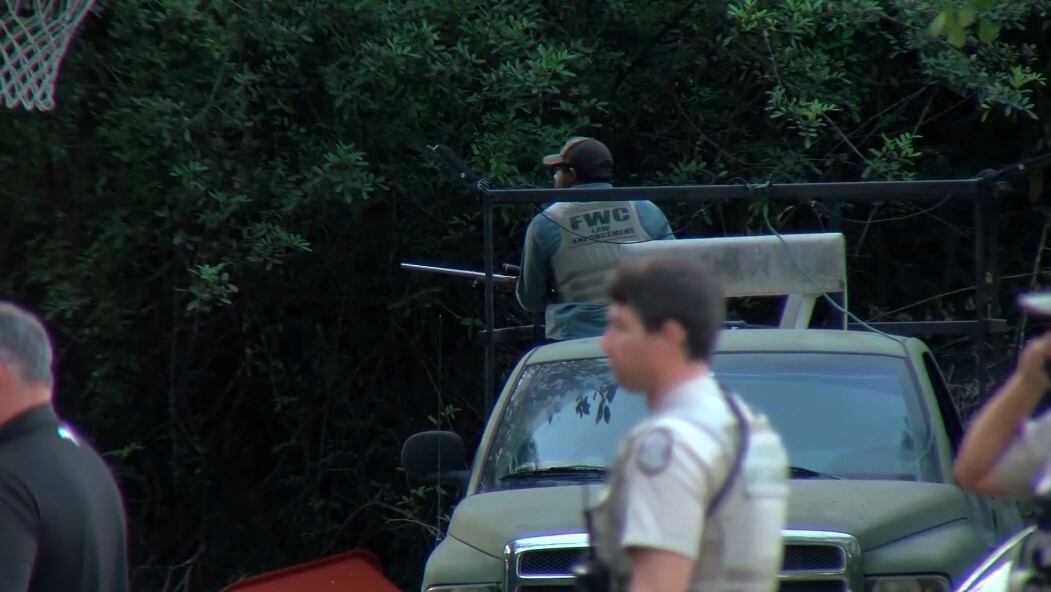 Residents urged to remain away from area where suspected bear attack ...