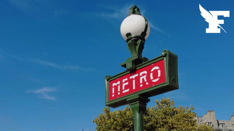 «On l’a nommée Prune» : une Parisienne paye une amende de 150 euros ...