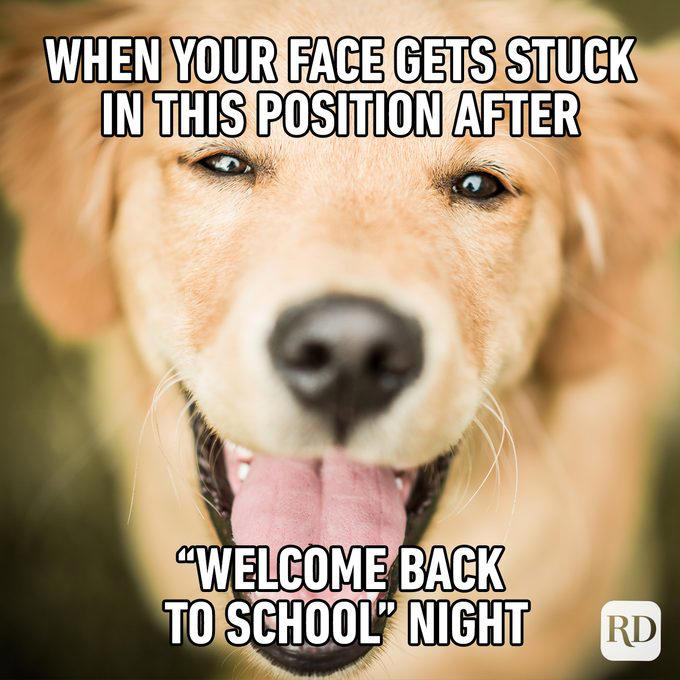 40 Back-to-School Memes That’ll Crack You Up