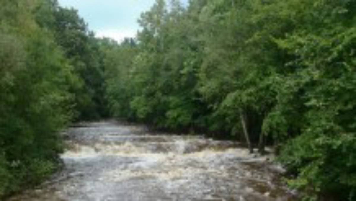 Law enforcement investigation closes Scantic River State Park in East ...