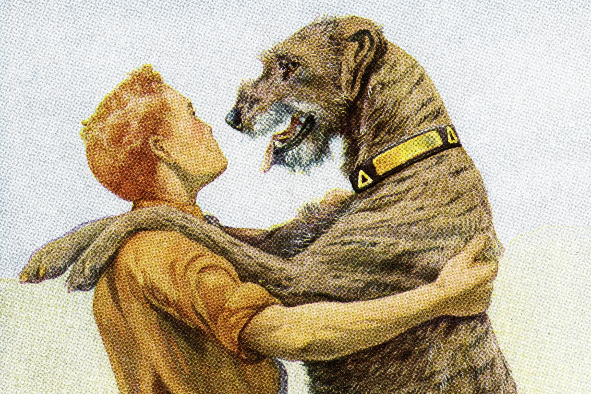 Pourquoi tout le monde n’aime pas les animaux, selon les chercheurs