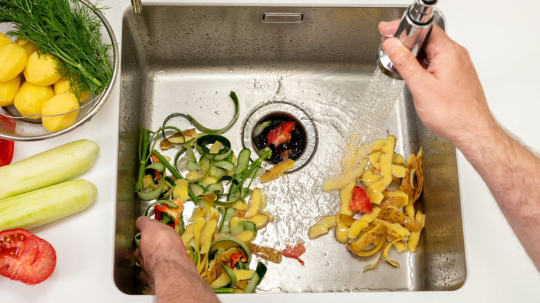 Here's How Often To Clean Your Garbage Disposal And How To Do It Safely