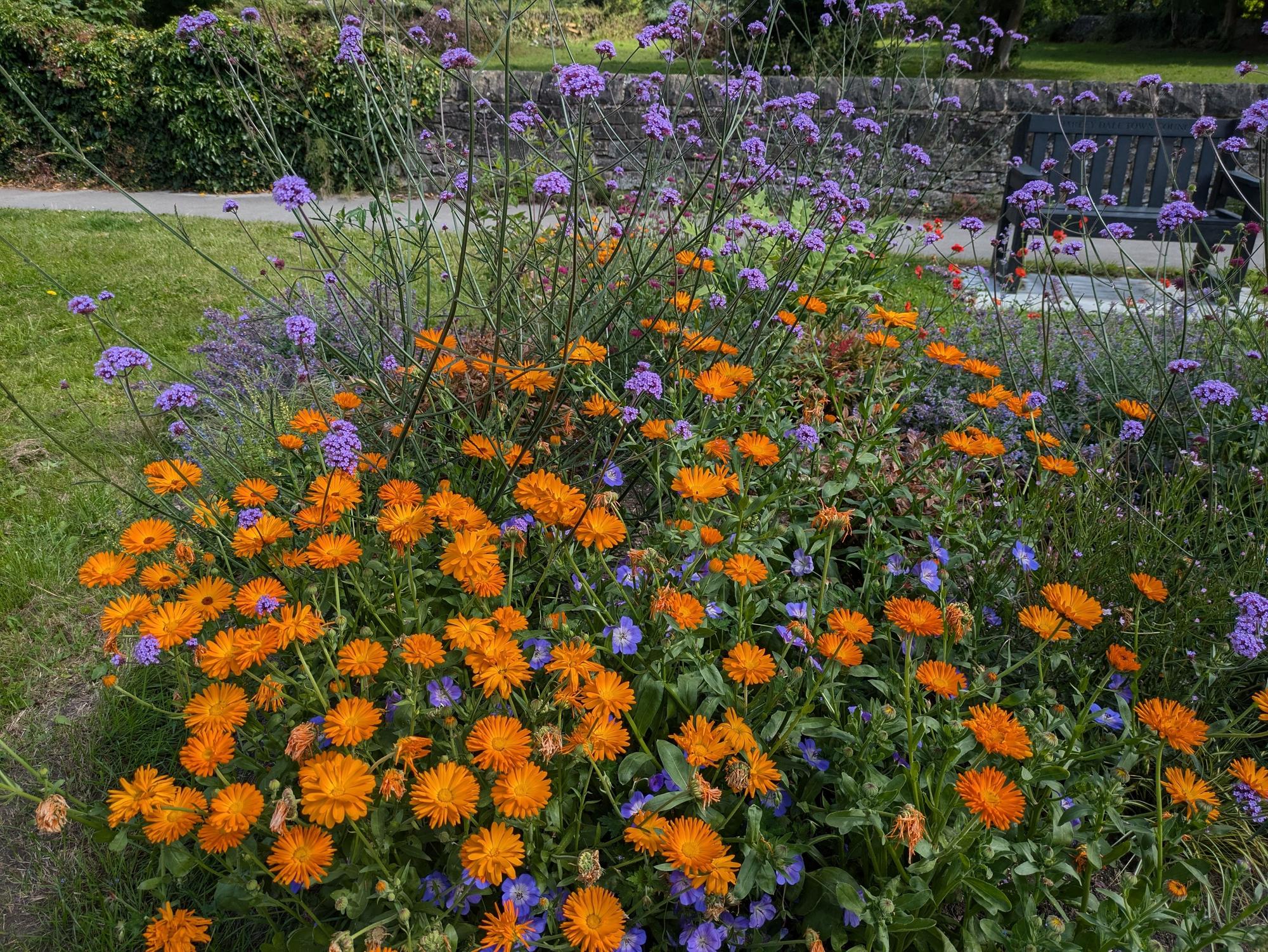 Darley Dale in Bloom summer competition