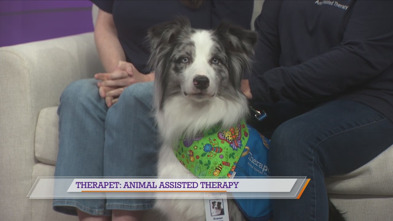 Therapet: Animal Assisted Therapy