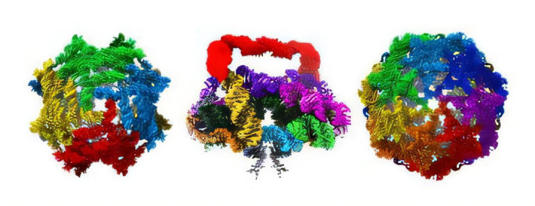 Researchers discover large protein-free RNA structures