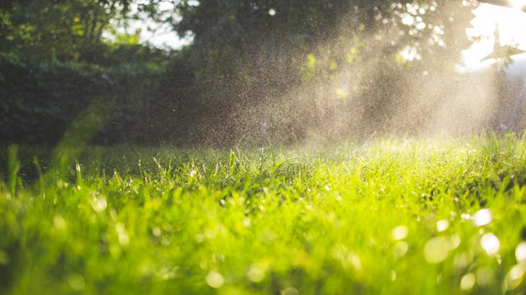 Mistakes Everyone Makes When Watering Their Lawn