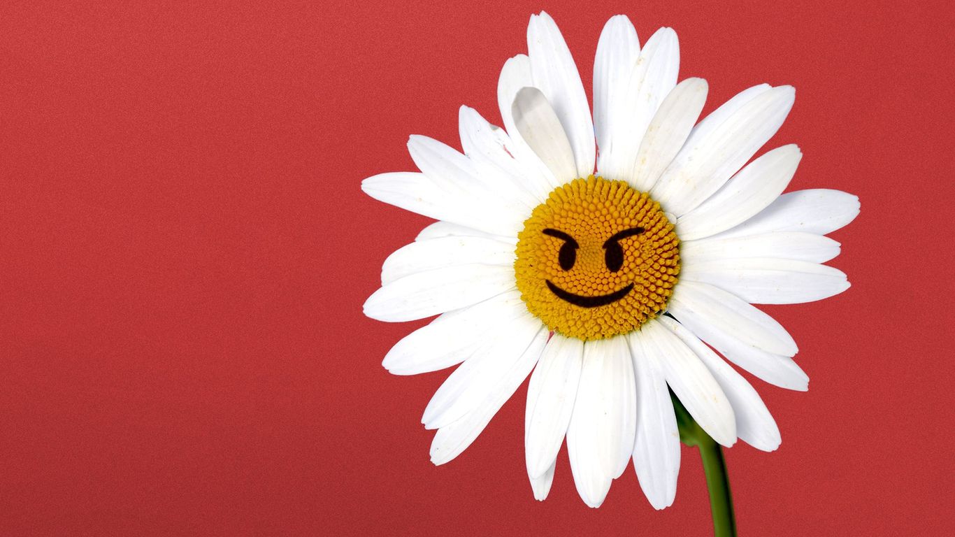 How to ease allergy symptoms as pollen levels spike