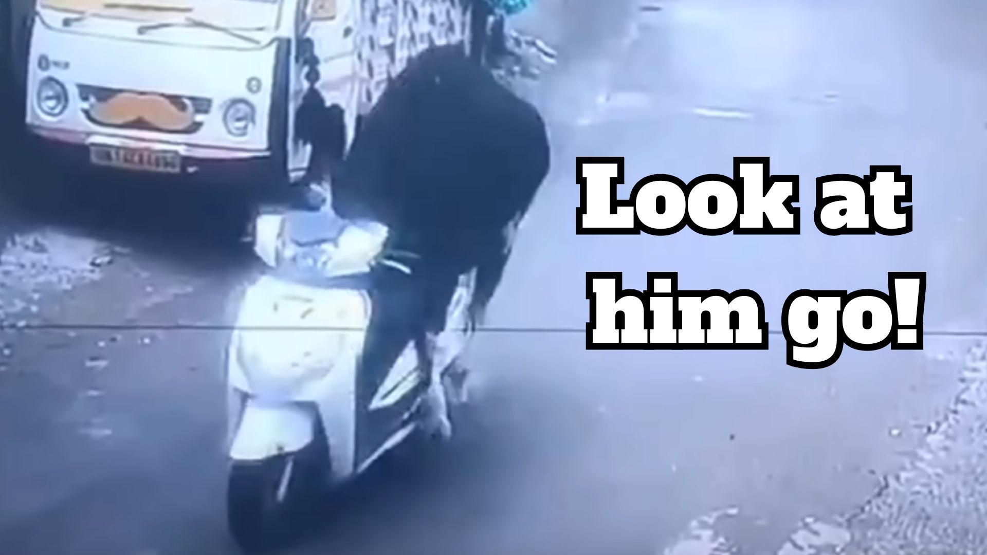 Absolutely Amazing: Bull Rides A Scooter In India