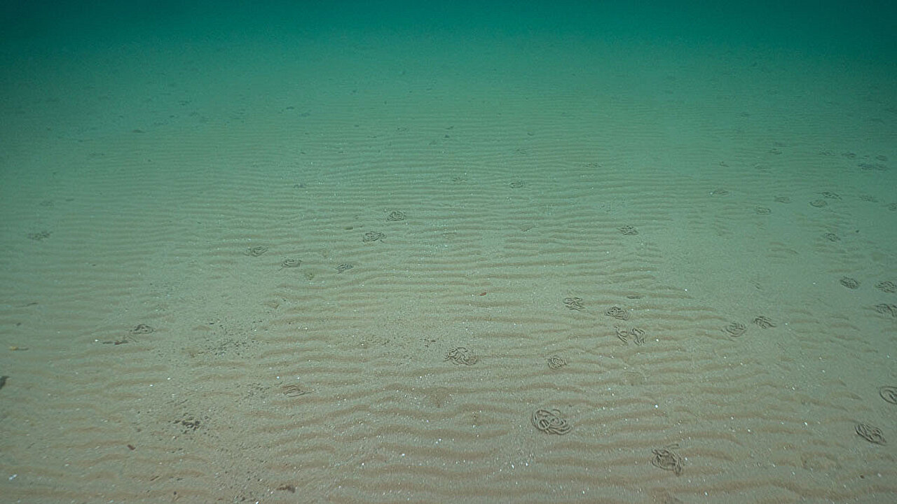 Mapping the ocean floor with ancient tides