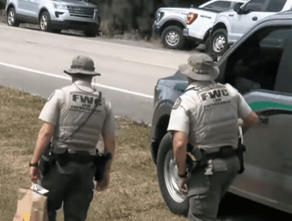 FWC Kills 3 Florida Bears Following Suspected Fatal Attack On Elderly ...