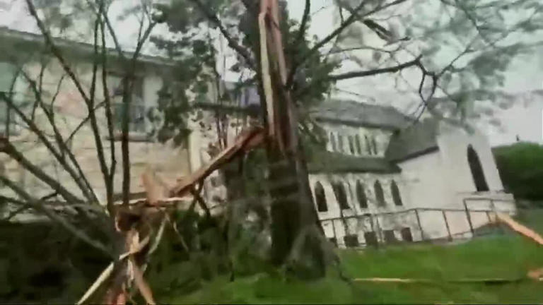 Storm splinters tree at Good Shepherd Anglican Church in Tyler