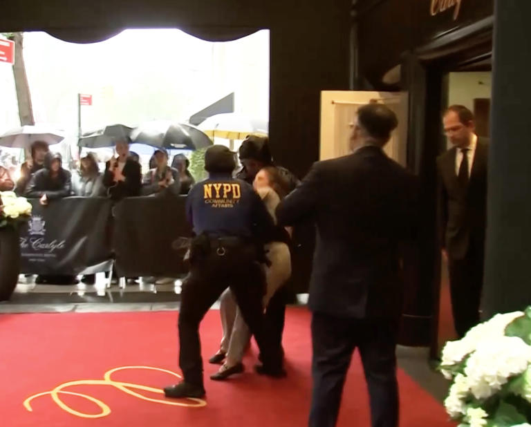 Celebrity stylist Jessica Paster dragged away by cops outside the ...