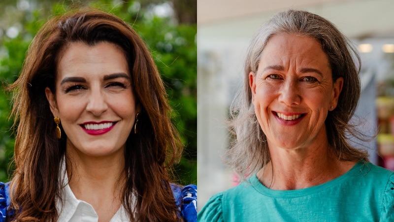 Bradfield federal election result in Sydney blue ribbon seat remains ...